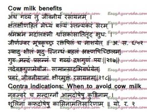 Cow Milk Benefits According To Ayurveda