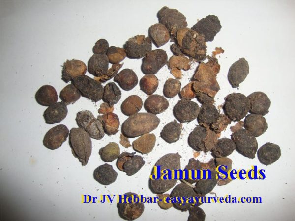 Jamun Benefits, Usage, Dose, Side Effects - Complete Ayurveda Details