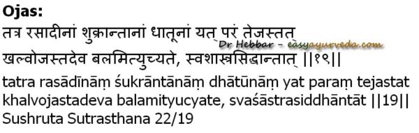 What is Ojas? How To Increase Ojas During Health And Disease?