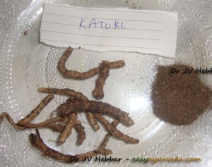 Kutki- picrorhiza kurroa Benefits, Dose, Side Effects, Research