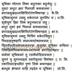 Yuthika Jasminum auriculatum: Benefits, Remedies, Research, Side ...