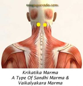 Marmas Of The Head And Neck: Shiro Griva Gata Marmas