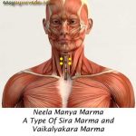 Marmas Of The Head And Neck: Shiro Griva Gata Marmas