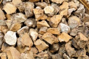 Chopachini (Madhusnuhi), Dveepantara Vacha Uses, Research, Side Effects