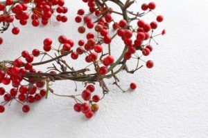 Chopachini (Madhusnuhi), Dveepantara Vacha Uses, Research, Side Effects