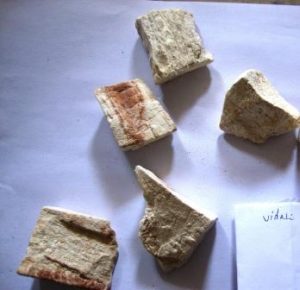 Vidarikand Pueraria tuberosa Uses, Research, Side Effects