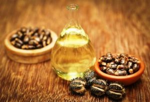 Eranda Taila Murchana: Special Processing Of Castor Oil
