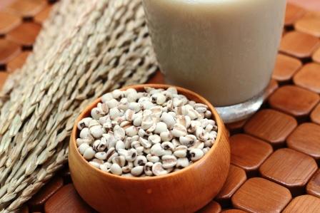 Adlay millet Coix lacryma-jobi: Benefits, Research, Remedies