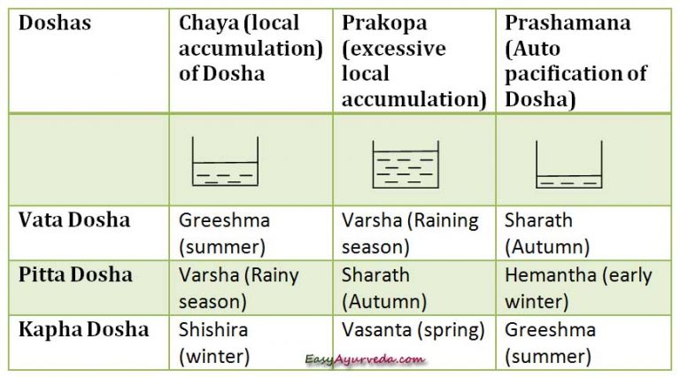 Relationship Of Doshas With Seasons
