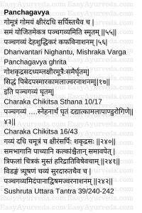 Panchavgavya: Benefits, Dose, Side Effects