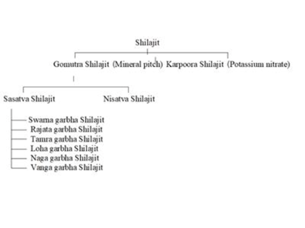 Maharasa: Introduction, Types, Qualities