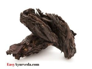 Ratanjot Benefits, Remedies, Varieties, Research